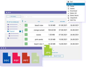 WordPress download manager plugin | WP File Download